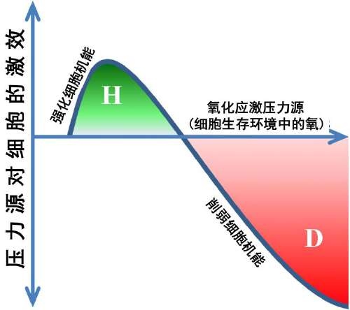激效效应（Hormesis）是什么？O2 arK智能氧舱为何不会氧中毒？_凤凰网