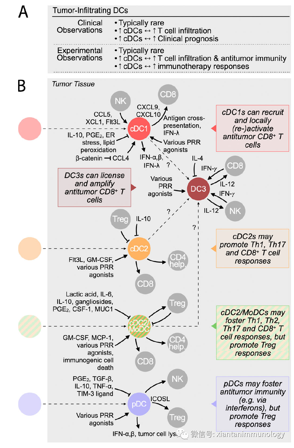 8大类免疫细胞构成与肿瘤预后__凤凰网