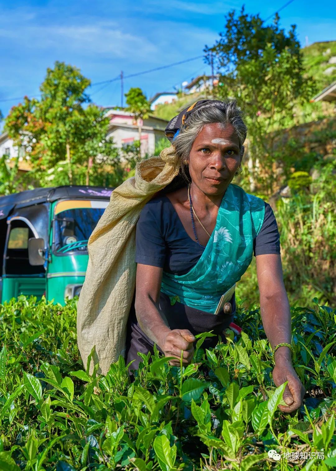 一场难以置信的经济自杀_凤凰网资讯_凤凰网