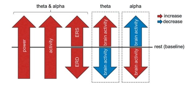 学习时大脑是如何运作的？tDCS和tACS提升学习能力的研究_凤凰网