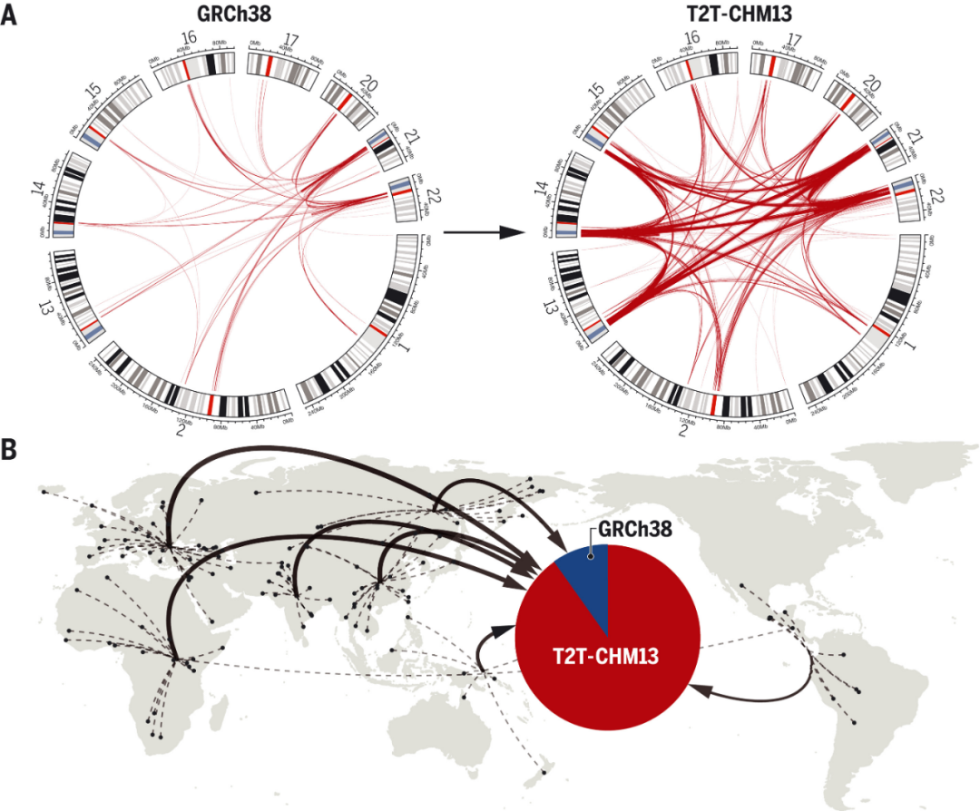 迄今最完整的人类基因组图谱！Science特刊6篇长文系统梳理T2T参考基因组研究成果__凤凰网