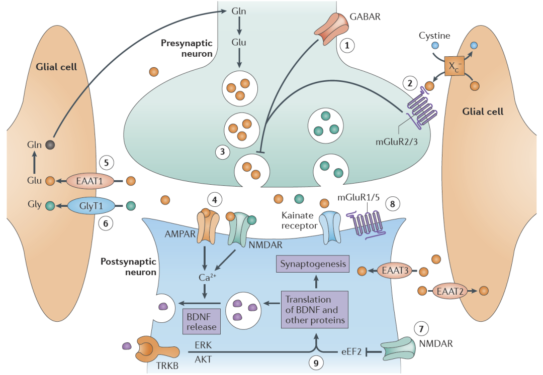 百忧解犹未解：抗抑郁新药路在何方？_凤凰网