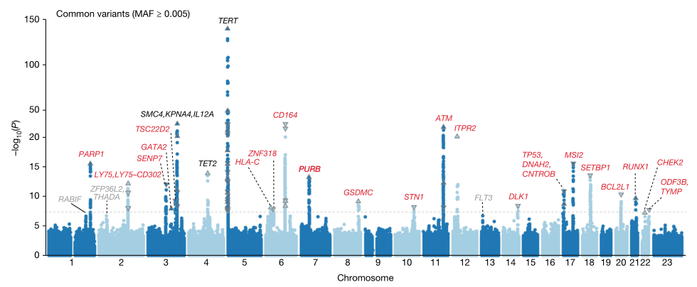 Nature | 基于60万人WGS/WES关联分析，鉴定与克隆性造血表型相关的常见和罕见基因变异__凤凰网