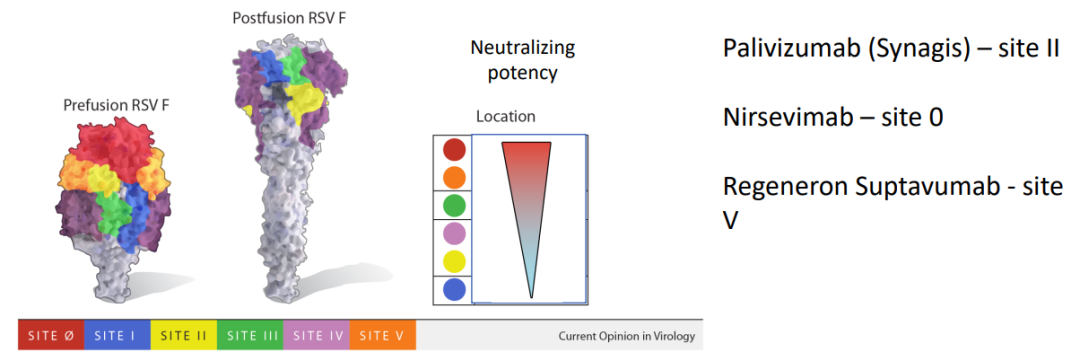 婴幼儿“隐形杀手”：如何应对RSV感染？_凤凰网