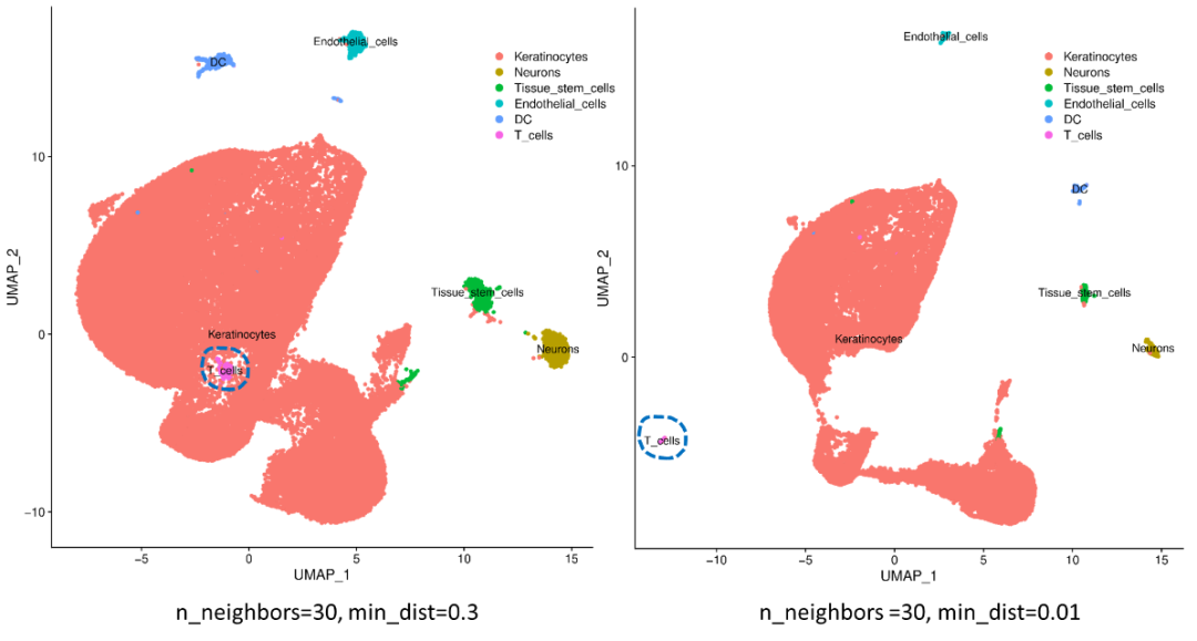 在高分文章中单细胞测序聚类算法究竟用tSNE还是UMAP？__凤凰网