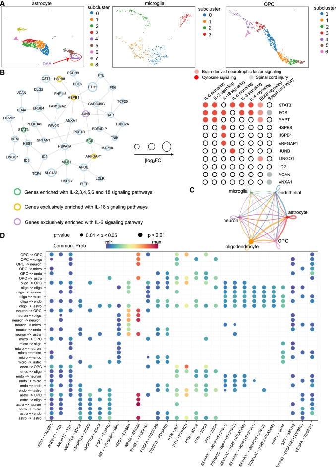 Cell子刊｜曾湘祥团队发布单细胞测序数据工具箱——autoCell__凤凰网