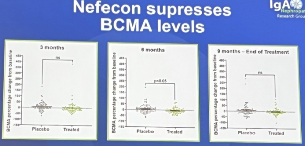 2023年第17届东京IgA肾病国际研讨会热点速递__凤凰网