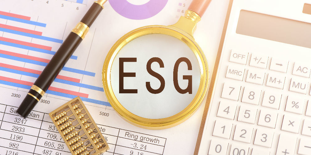 复旦战昕彤：中国企业落地ESG不能只关注分配 而要强调增长_凤凰网