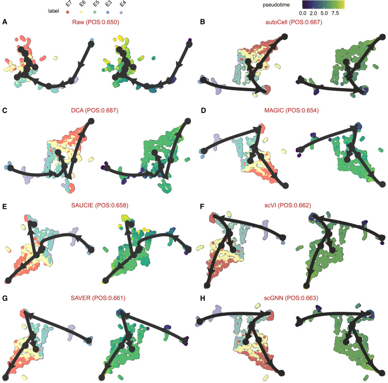 Cell子刊｜曾湘祥团队发布单细胞测序数据工具箱——autoCell__凤凰网