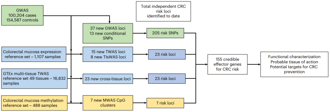 Nat Genet发表大规模多组学研究结果，揭示上百种结直肠癌相关新遗传风险因素__凤凰网