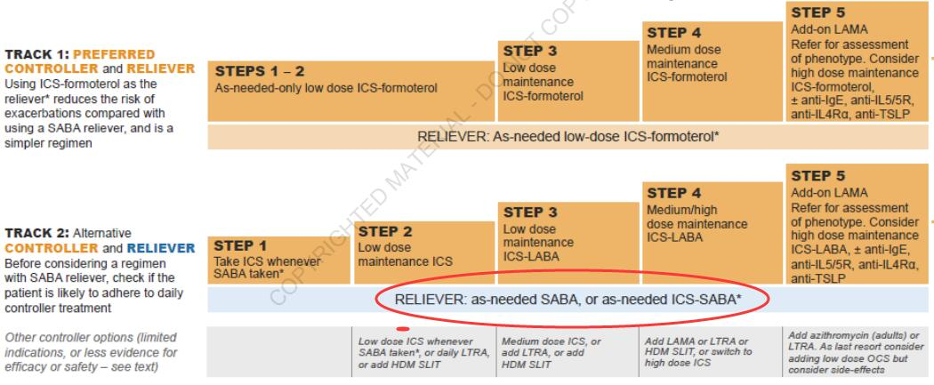 重磅！GINA 2023 哮喘防治指南发布，更新要点先睹为快_凤凰网健康_凤凰网