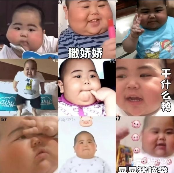 还记得表情包男孩Tatan吗？他长这么大啦_凤凰网