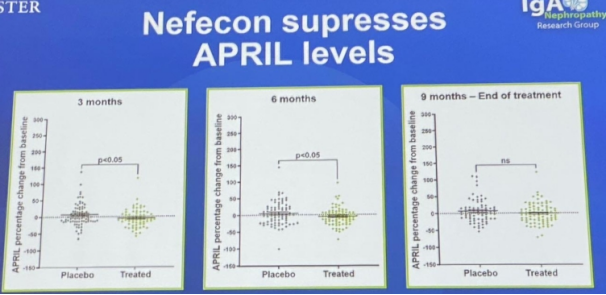 2023年第17届东京IgA肾病国际研讨会热点速递__凤凰网
