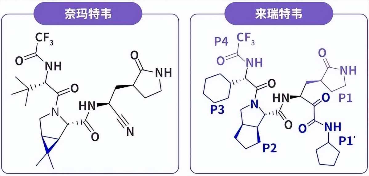 众生乐睿灵®来瑞特韦片纳入2023年国家医保药品目录_凤凰网