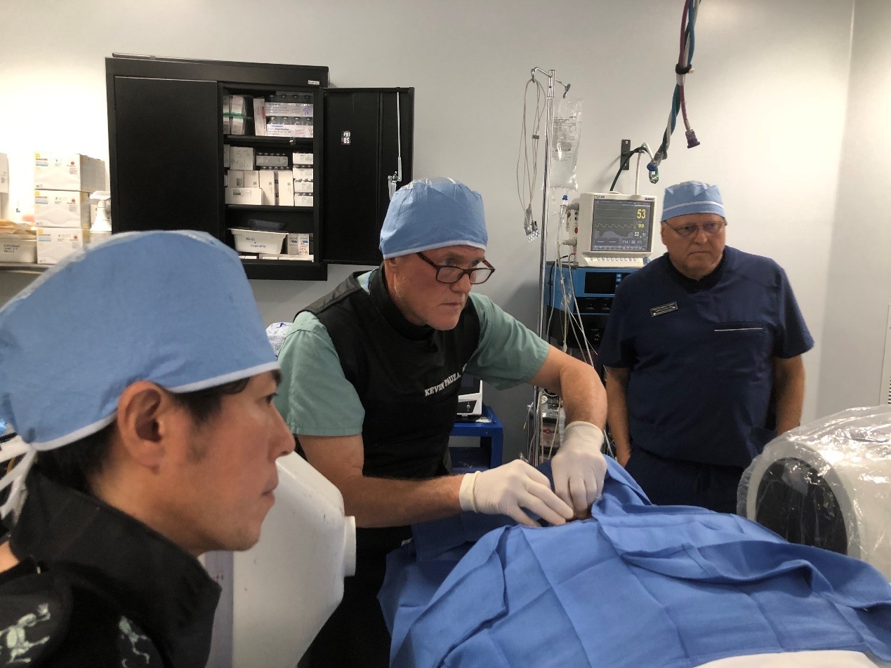 现代人腰椎问题的全面解决方案：Discseel®Procedure・DST椎间盘修复再生术_凤凰网