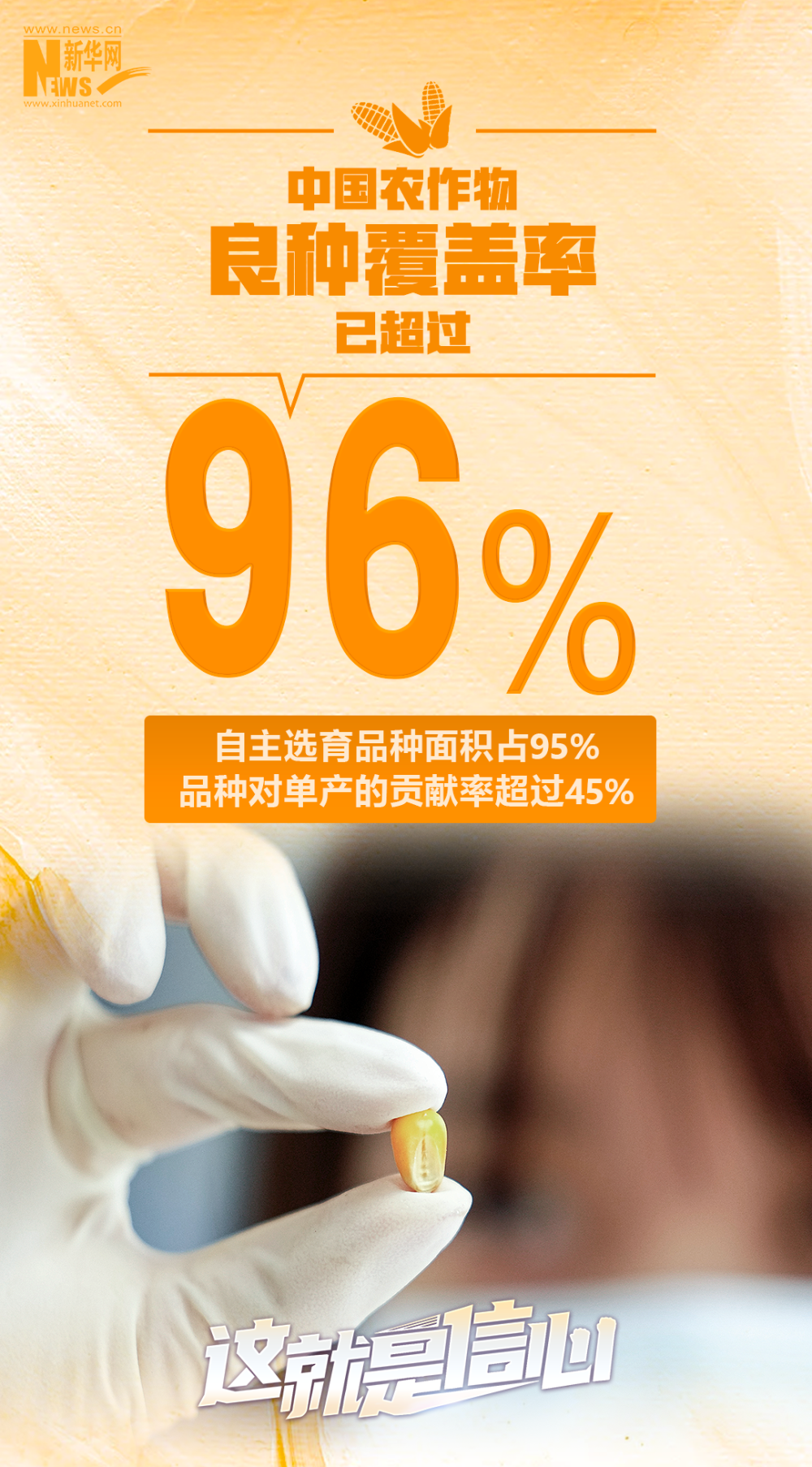 这就是信心丨从5组数据看端牢中国饭碗的底气_凤凰网资讯_凤凰网