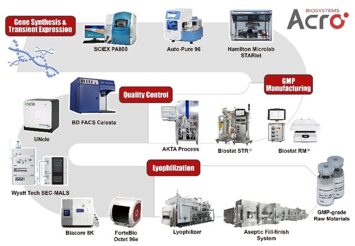 ACROBiosystems百普赛斯GMP蛋白定制服务，加速细胞基因治疗药物研发、上市进程_凤凰网