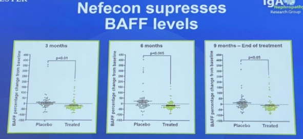 2023年第17届东京IgA肾病国际研讨会热点速递__凤凰网