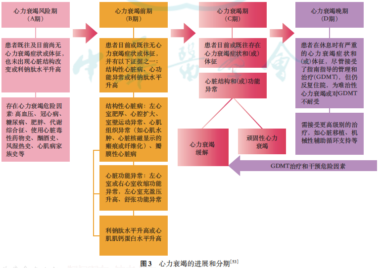 周京敏教授：BNP/NT-proBNP 在心衰诊疗中的应用｜最新共识要点解读_凤凰网健康_凤凰网