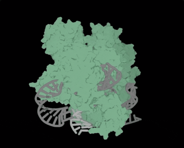 AI成功改写人类DNA，全球首个基因编辑器震撼开源！近5倍蛋白质宇宙LLM全生成__凤凰网