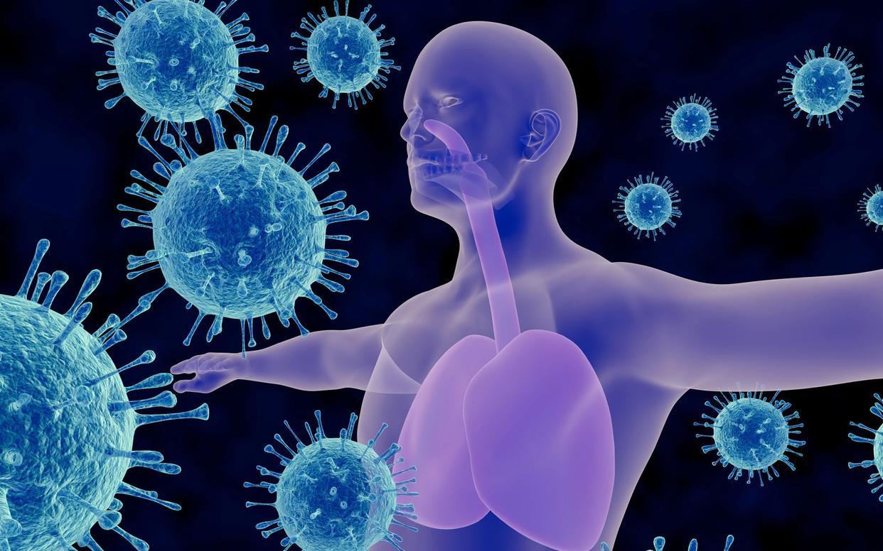 调查研究发现：新冠病毒7大结局已经不可避免，57岁以上老年人要注意__凤凰网