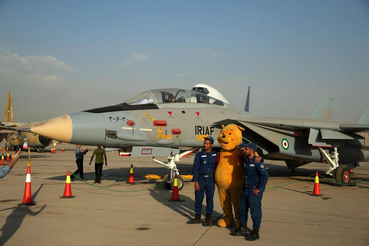 作为曾经的空战王者 F-14“雄猫”不该这样死去_凤凰网