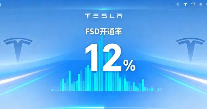 开通率只占12%，全网“封神”的特斯拉FSD，与华为ADS比谁更强？_凤凰网