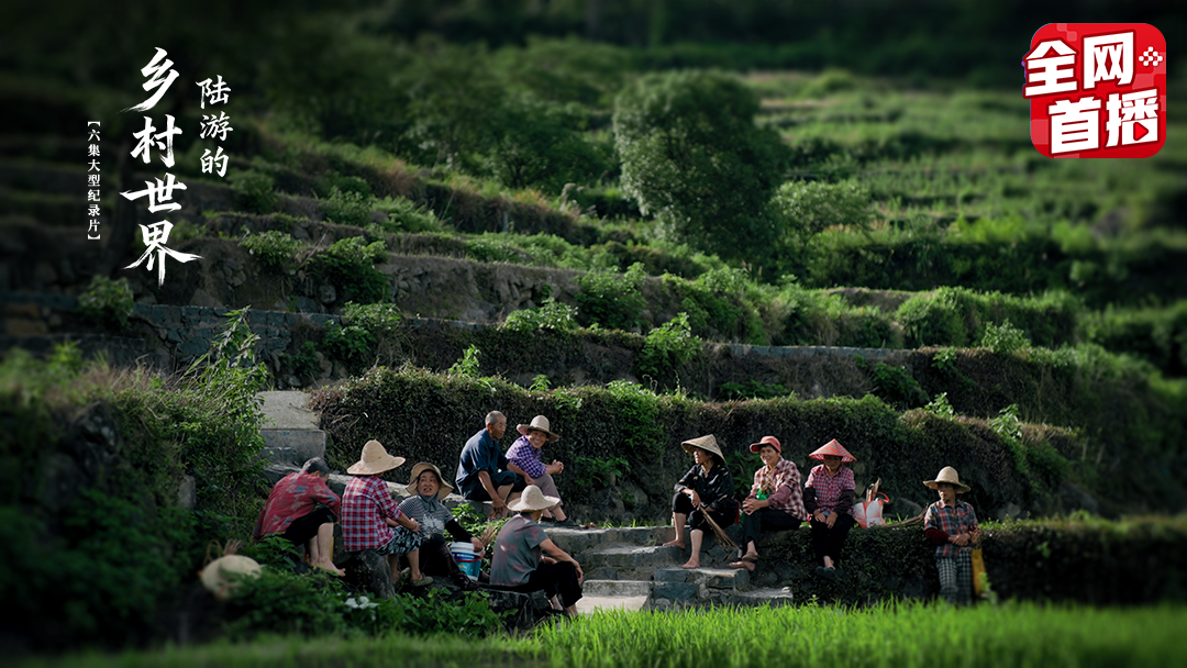 韩飞丨陆游八百年前种下的种子，今天依然能开出鲜活的花朵_凤凰网