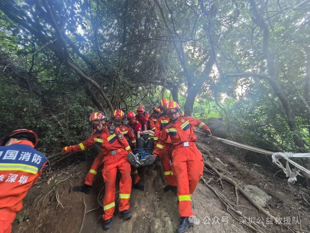 男子摔下山崖被树杈接住后昏迷，游客捡到手机，抬头发现了他_凤凰网