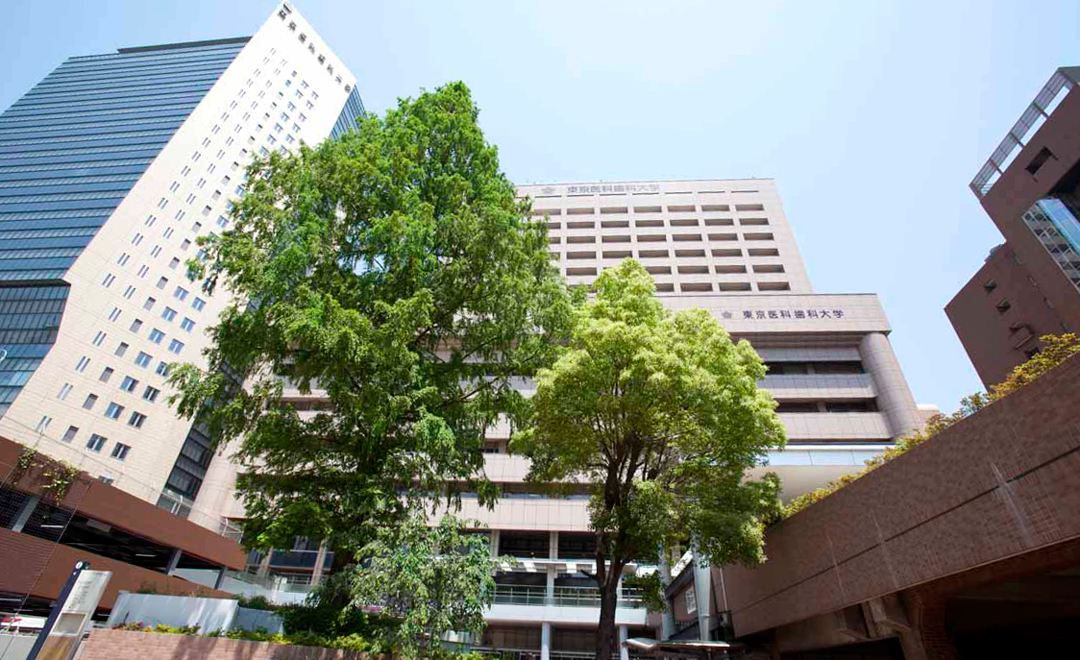 日本科学家用iPS细胞同时培育出3种迷你器官_凤凰网