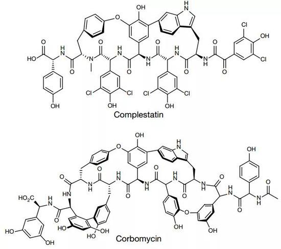 憋死超级细菌！科学家发现与青霉素作用相反抗生素_凤凰网科技_凤凰网