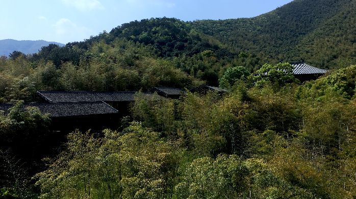 国际茶日，了解一下顾渚山的唐代贡茶_凤凰网