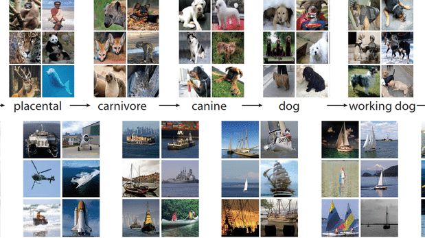 ImageNet「众包」成就伟大数据集，「昇腾众智」创新AI开发模式_凤凰网