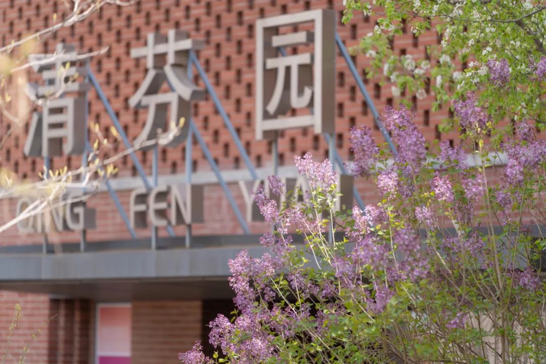 清华大学：神奇校园在这里！_画川居士_新浪博客