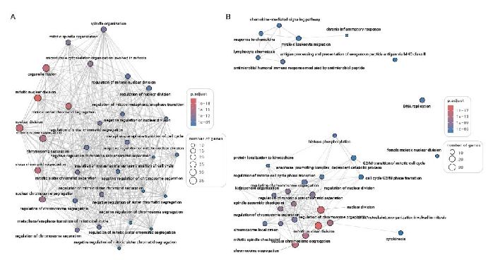The Innovation|clusterProfiler：聚焦海量组学数据核心生物学意义_凤凰网