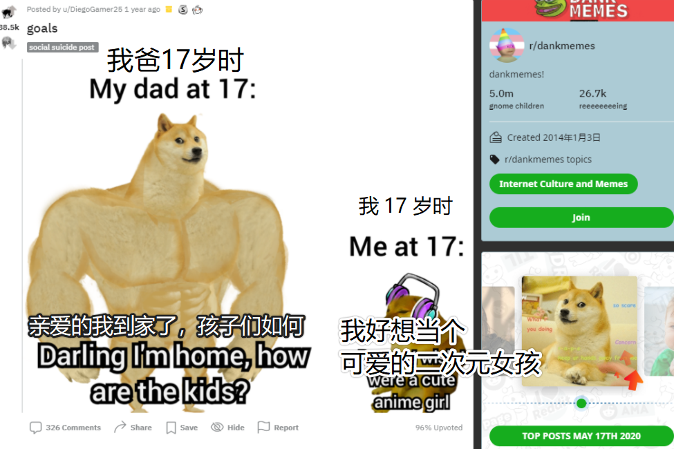 这个一直给Doge当配角的狗子 正在成为下一代Doge_凤凰网