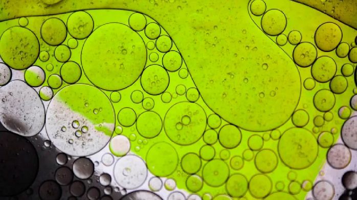 Viridos牵手石油巨头，扩大藻类生物燃料规模，预计 2025年实现商业化_凤凰网