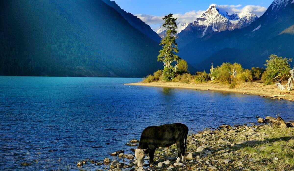 西藏100个最美景点，去西藏，收藏这篇就够了__凤凰网