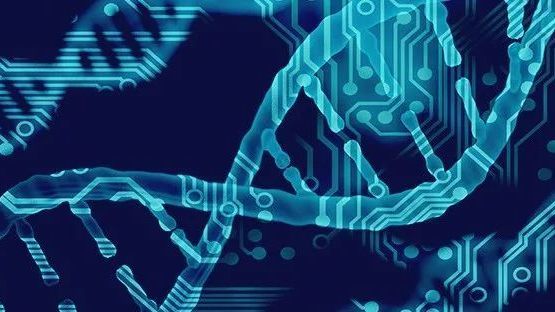 IDT埃德特xGen人全外显子V2 Panel在MGISEQ-2000平台中展现出卓越测序效果_凤凰网