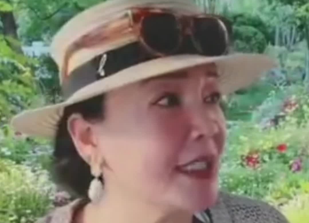 张兰直播疑内涵张颖颖是 臭虫” 汪小菲:不代表我的想法凤凰网视频凤凰网