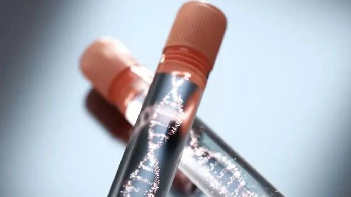 聚焦MRD从科研到临床落地关键挑战，臻和科技MinerVa平台助力肿瘤精准诊疗_凤凰网