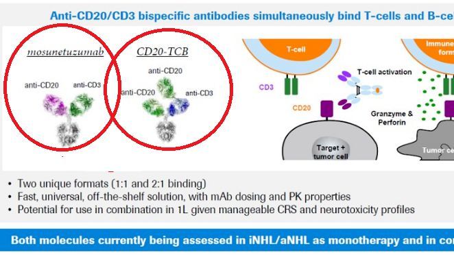 首款CD20xCD3双特异性抗体！欧盟批准罗氏Lunsumio：治疗滤泡性淋巴瘤(FL)，完全缓解率达60%_凤凰网