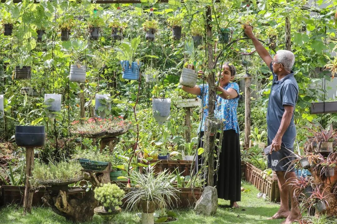 唐驳虎：斯里兰卡为何破产？犯了两个荒唐的大错_凤凰网资讯_凤凰网