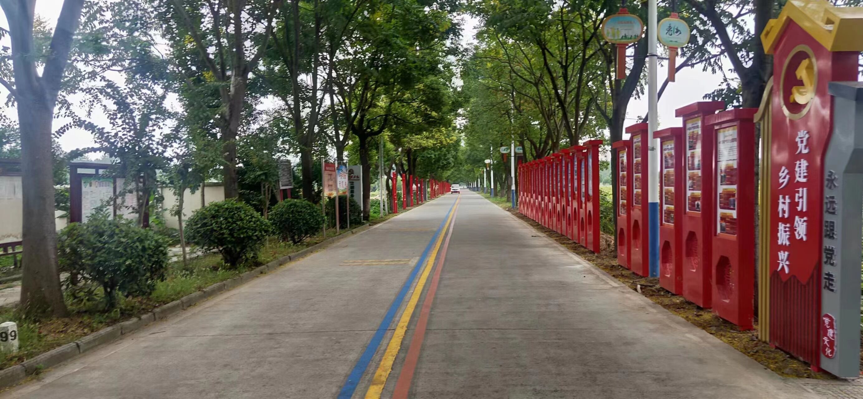 铜陵义安区老洲乡打造党建大道 引领乡村信用建设凤凰网安徽_凤凰网