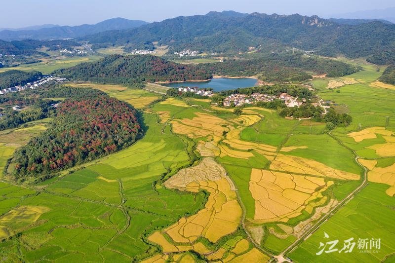 金溪：大美“丰”景（图）凤凰网江西_凤凰网