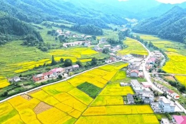 江西首次增加专项奖补资金1240万元 支持各地创建国家级生态示范县(市、区)凤凰网江西 凤凰网