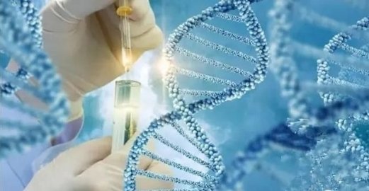 Aneoktur奥尼康健NMN可以让人散发活力凤凰网山东_凤凰网