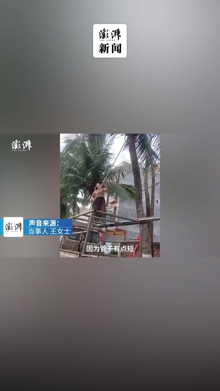 女子摘椰子被砸到头部,当事人:并无大碍凤凰网视频凤凰网