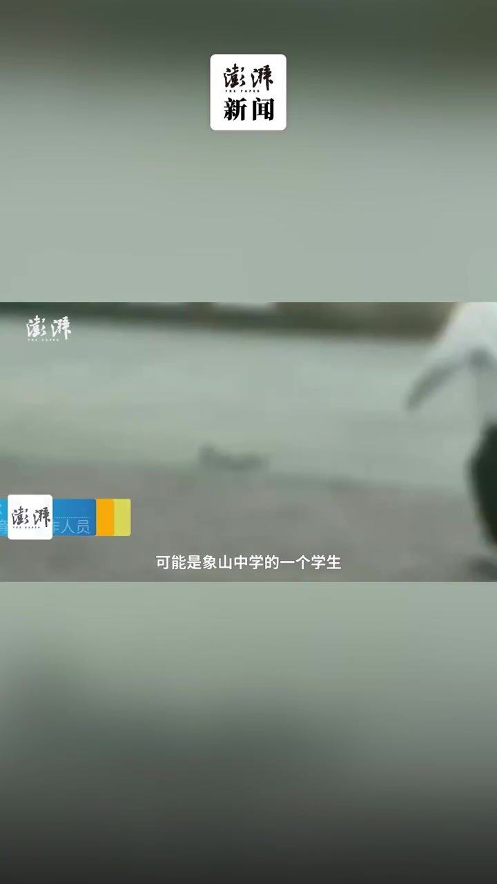 韩城市教育局回应 中学生疑似虐猫”：已上报此事凤凰网视频凤凰网