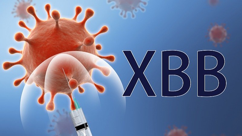 XBB毒性比德尔塔强大5倍更致命？这是两个月前的谣言了_凤凰网